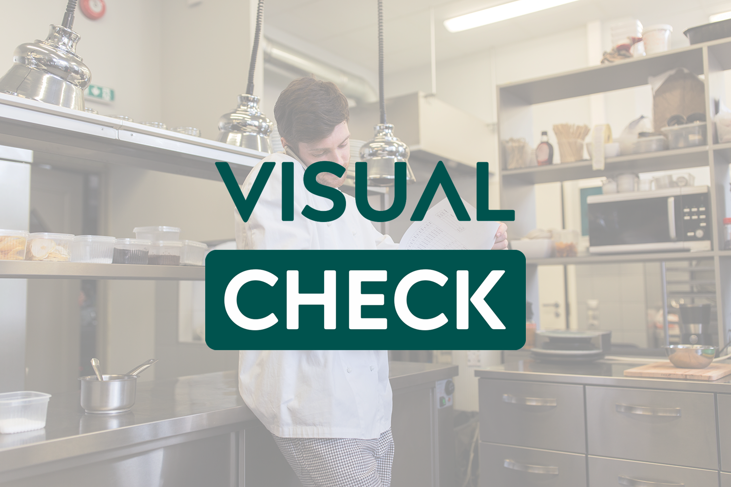 Visual Check Visualisis